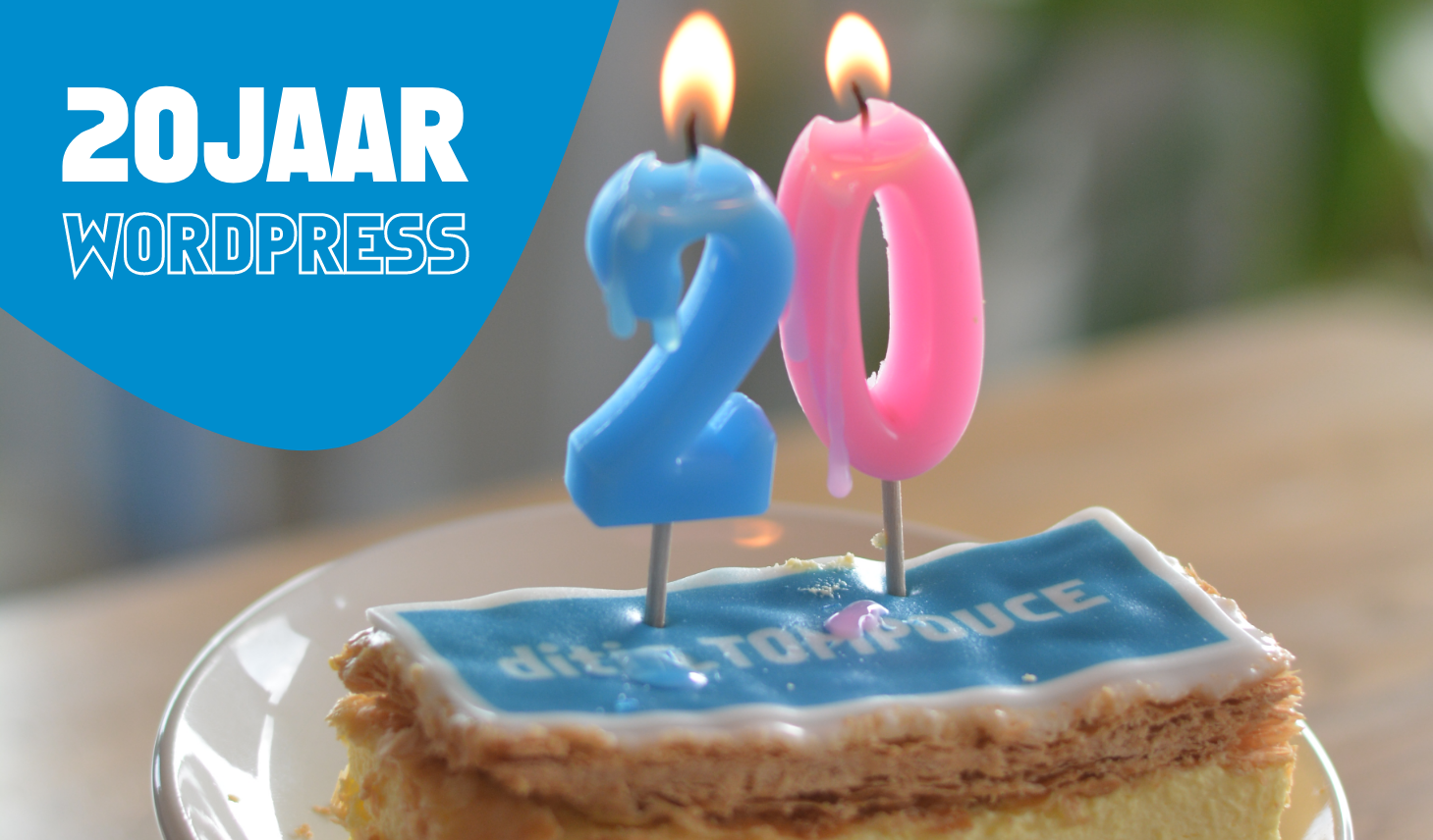20 jaar Wordpress - ditisABC